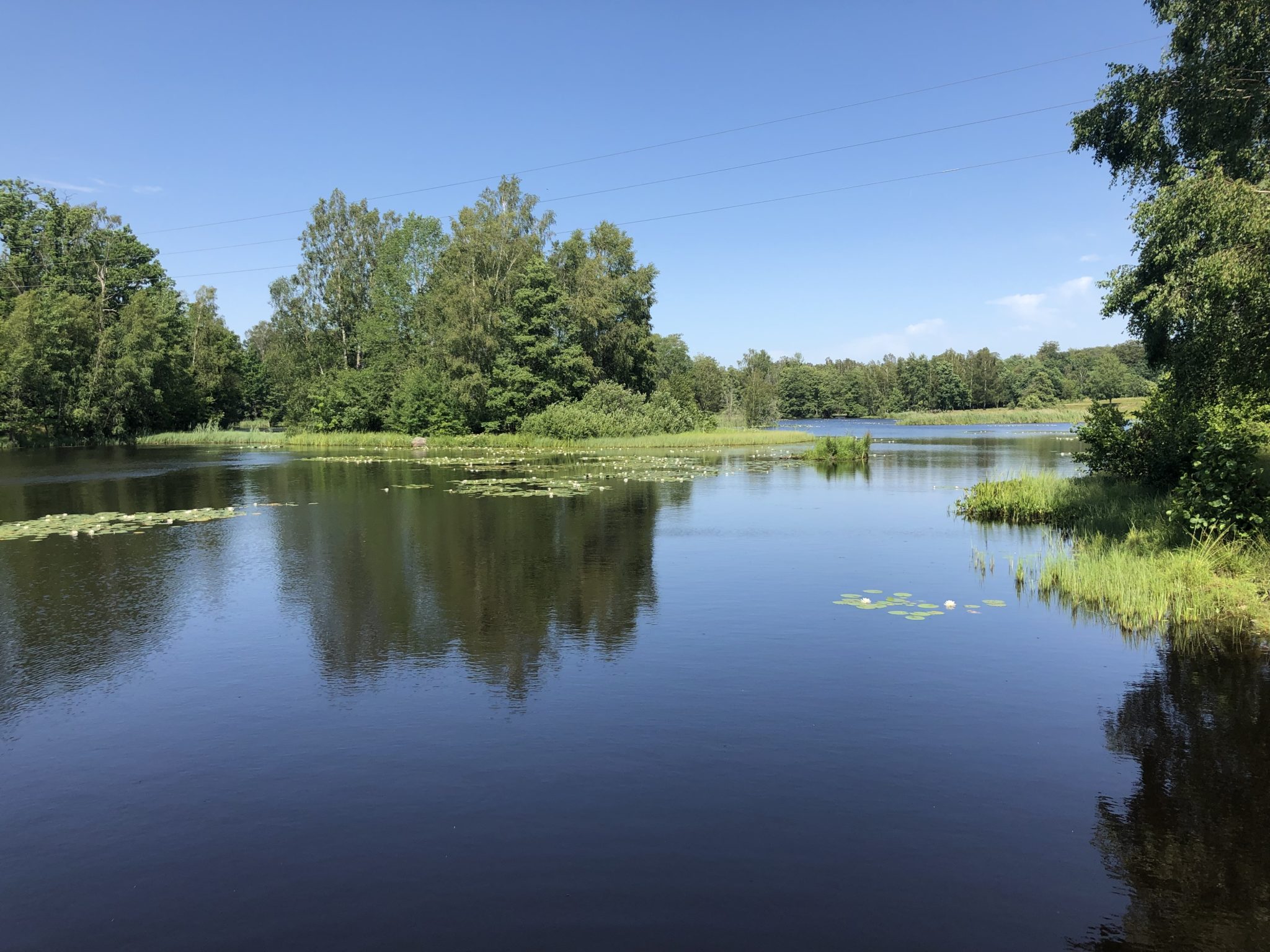 Omgivning, natur och skogens djur – Hunseröds Bed & Breakfast
